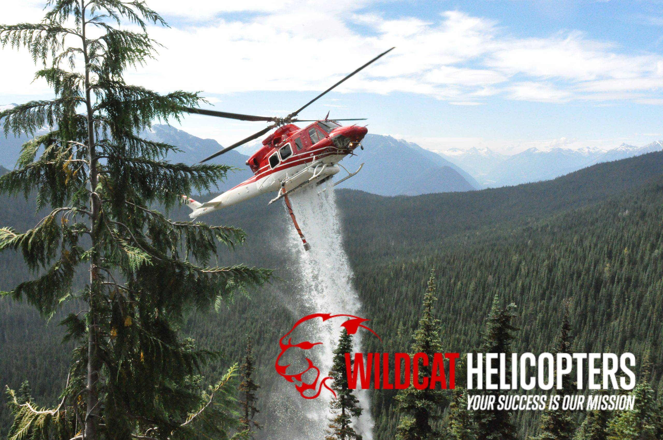 Wildcat Helicopters | Wilson Creative